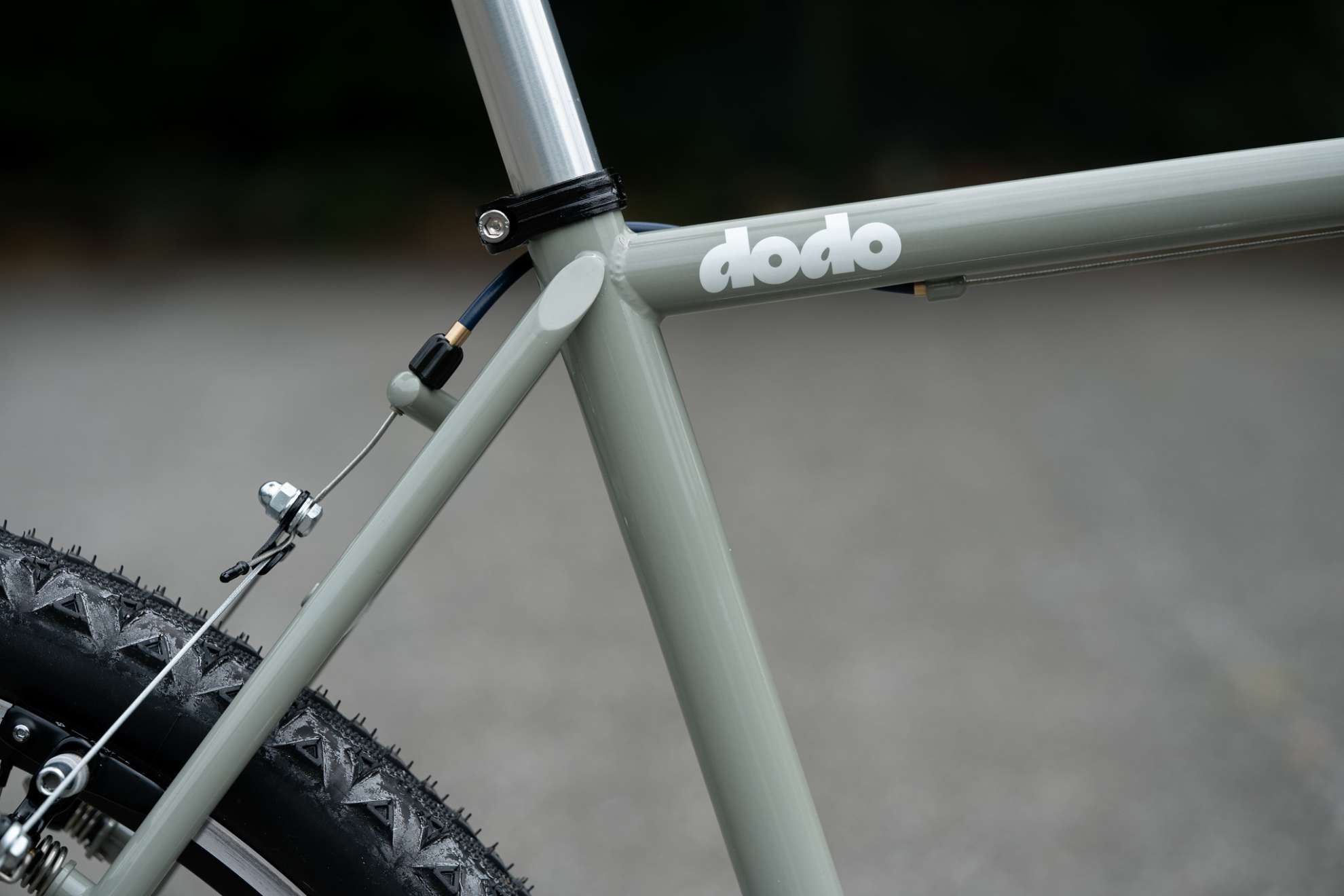 Fairweather "Dodo" - BIKE SHOP BLUE LUG BLOG | 自転車店 ブルーラグ スタッフブログ