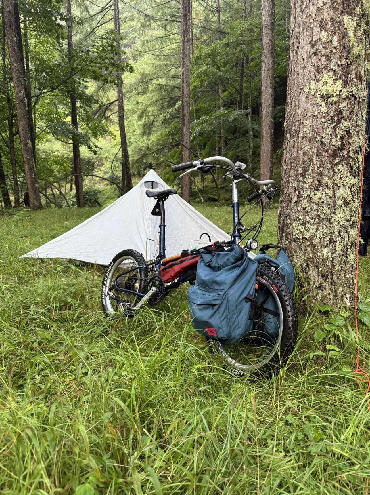 NITTO "BROMPTON FRONT CARRIER" 〜ブロンプトンにもカゴ付けたい〜 - BLUE LUG BLOG | 自転車店 ブルーラグ スタッフブログ